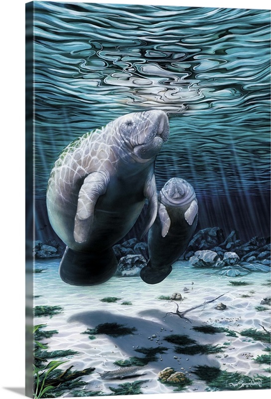 Mermaids Of Crystal River | Great Big Canvas