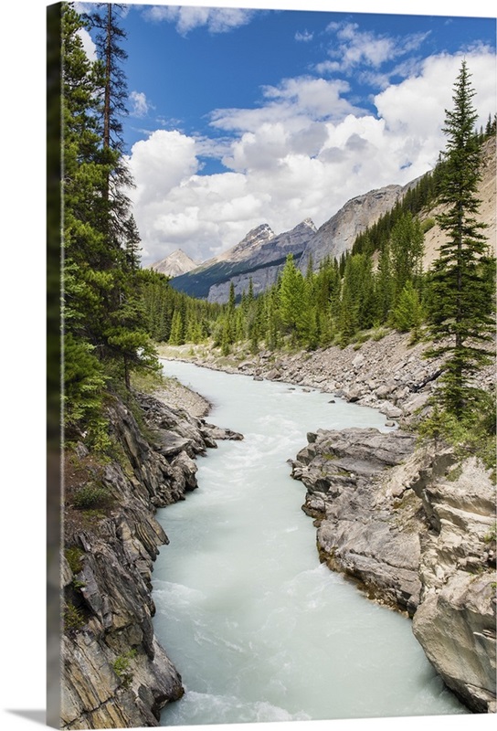 Milky Mistaya | Great Big Canvas