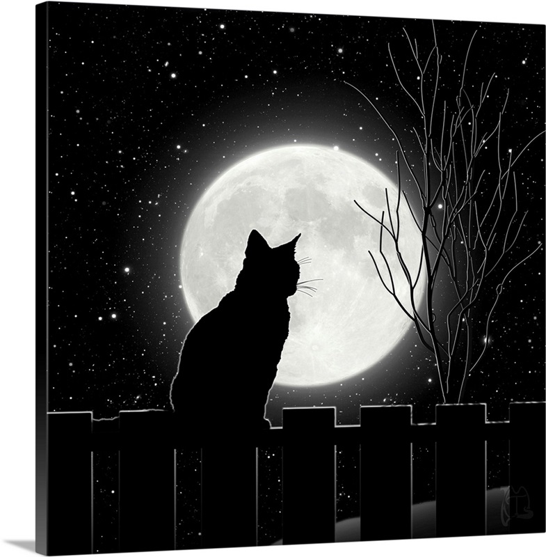 Moon Bath II | Great Big Canvas