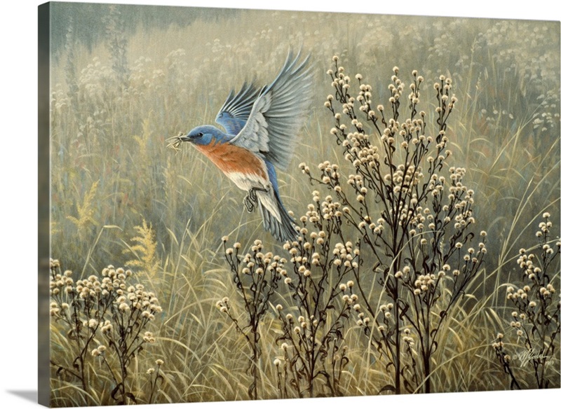 October Meadow | Great Big Canvas