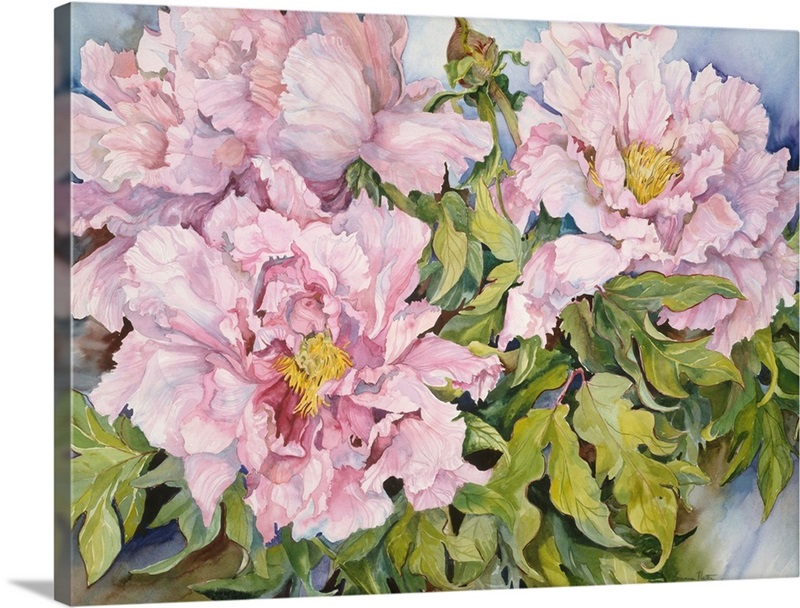 Peonies | Great Big Canvas