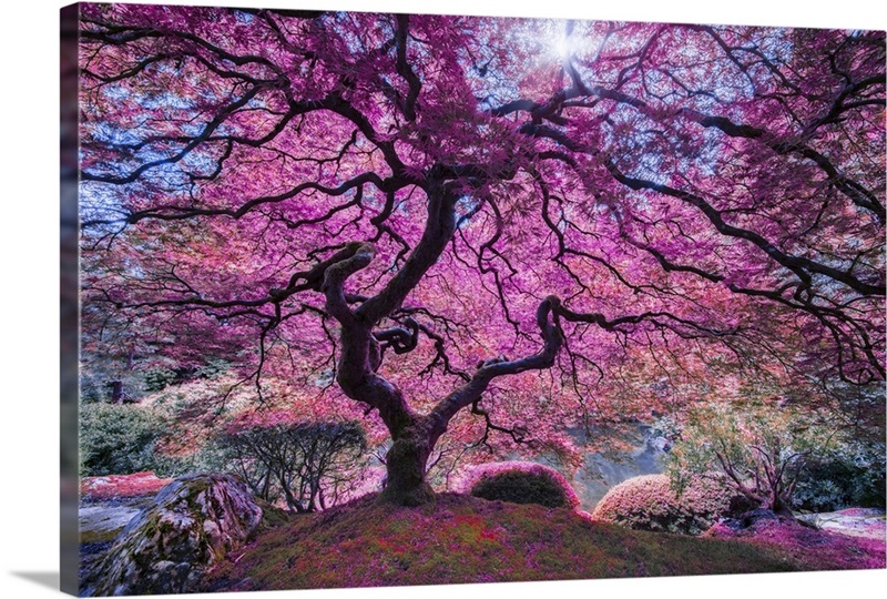 Pink Tree II | Great Big Canvas