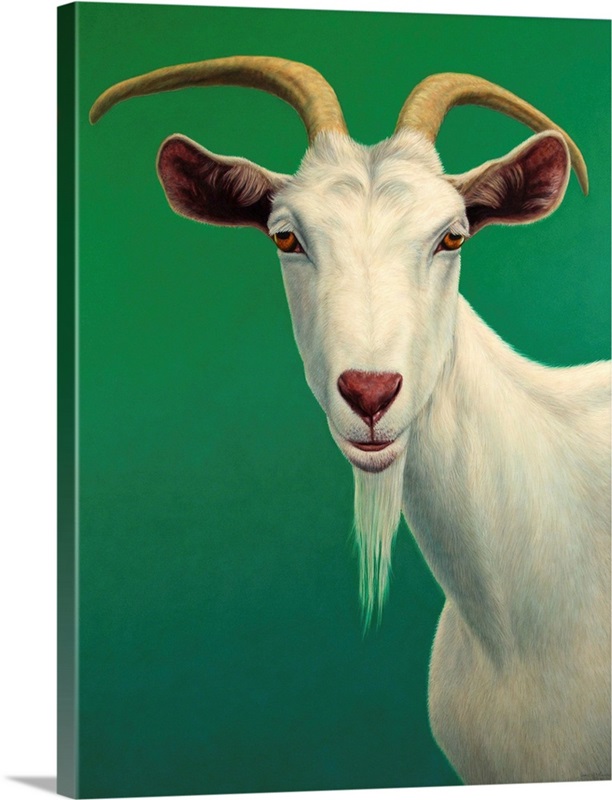 Portrait of A Goat | Great Big Canvas