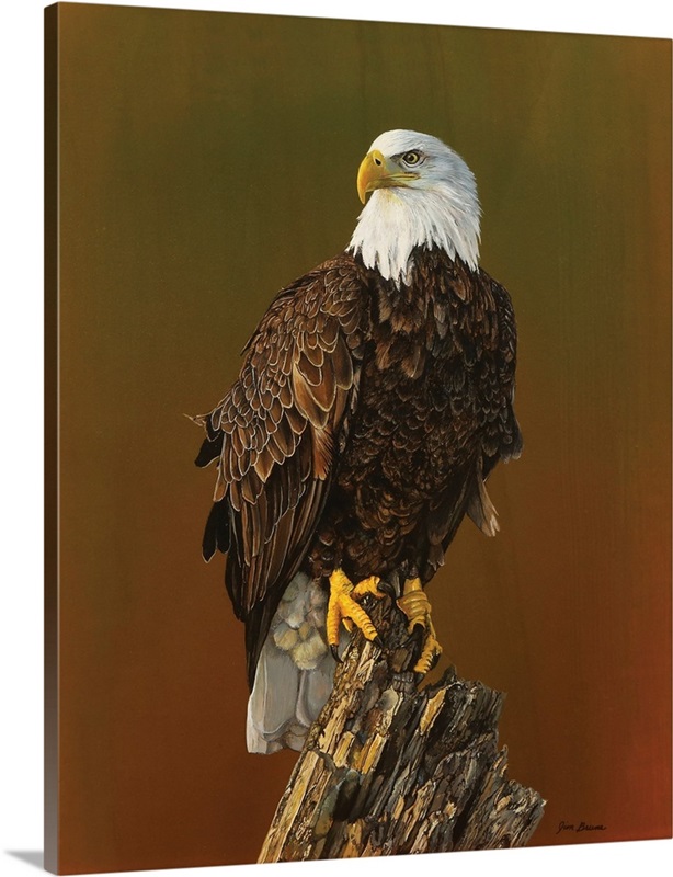 Proud Bald Eagle | Great Big Canvas