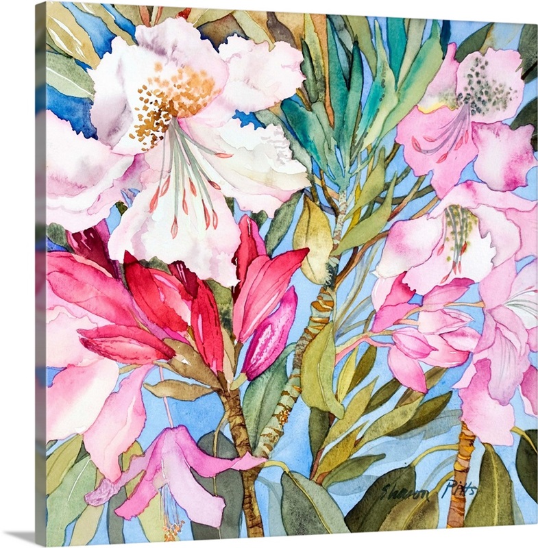 Rhododendron I | Great Big Canvas