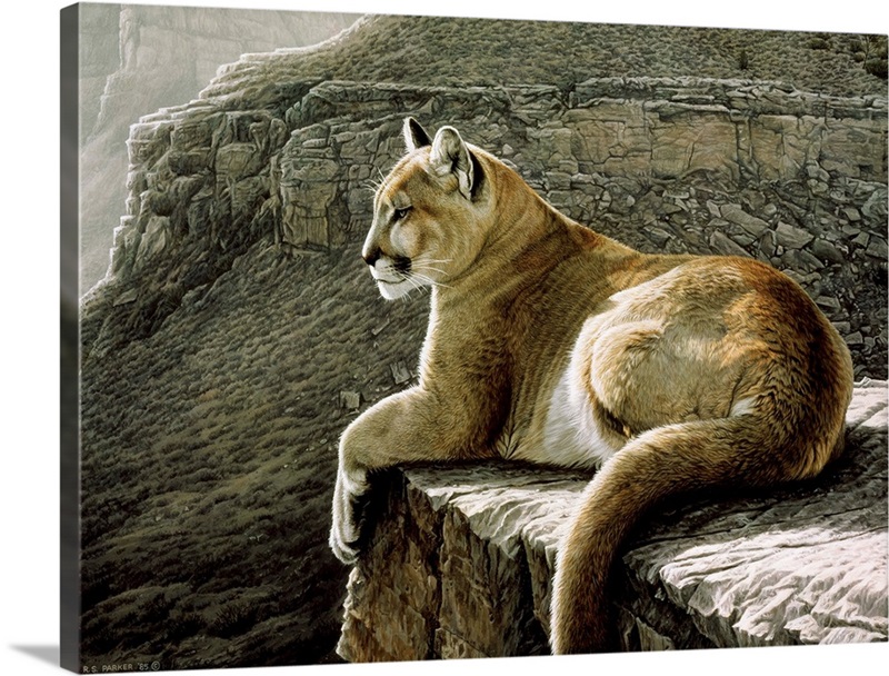 Rimrock | Great Big Canvas