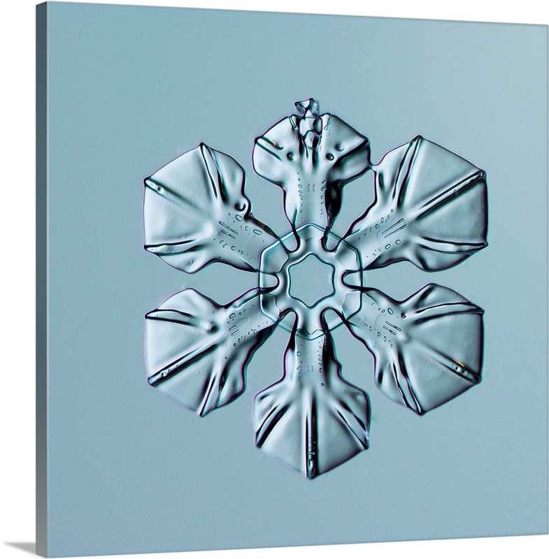 Sectored Plate Snowflake | Great Big Canvas
