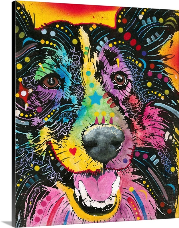 Smiling Collie | Great Big Canvas