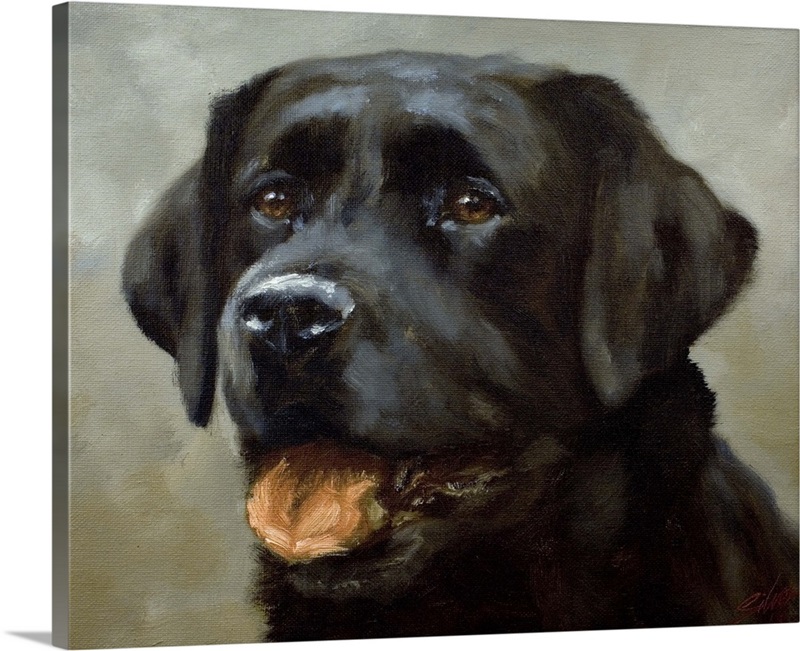 Smiling Lab | Great Big Canvas