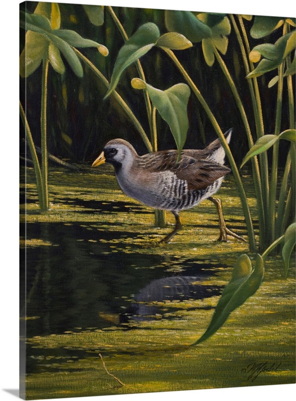 Sora Rail | Great Big Canvas