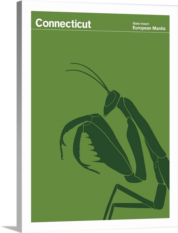 State Posters - Connecticut State Insect: European Mantis | Great Big ...