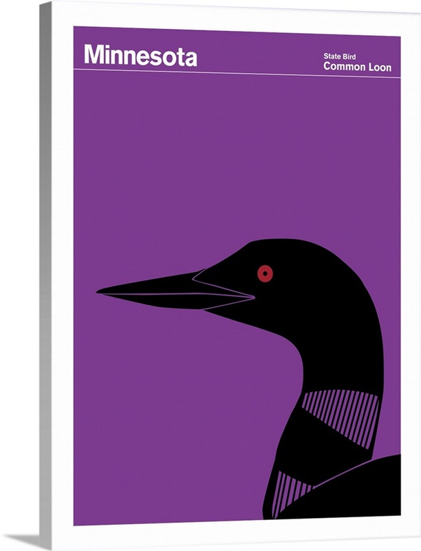State Posters - Minnesota State Bird: Common Loon | Great Big Canvas