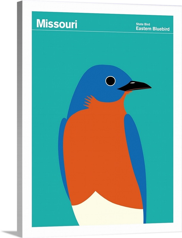 State Posters - Missouri State Bird: Eastern Bluebird | Great Big Canvas