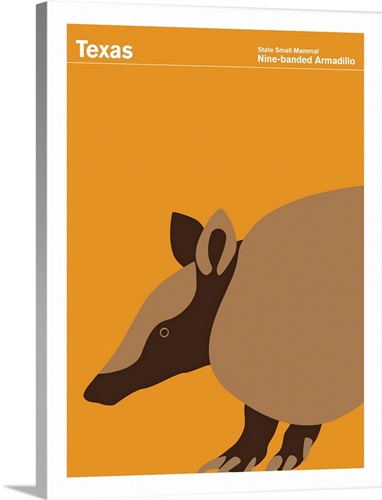 State Posters - Texas State Small Mammal: Nine-banded Armadillo | Great ...