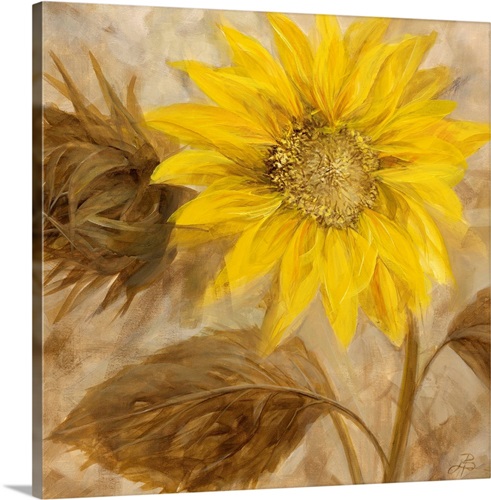 Sunflower III Wall Art, Canvas Prints, Framed Prints, Wall Peels ...