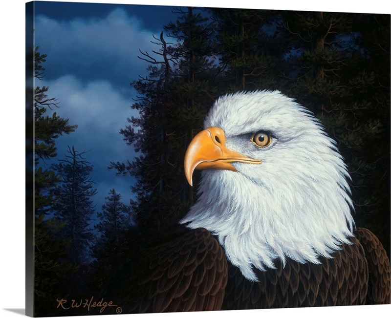 The Face Of Freedom | Great Big Canvas