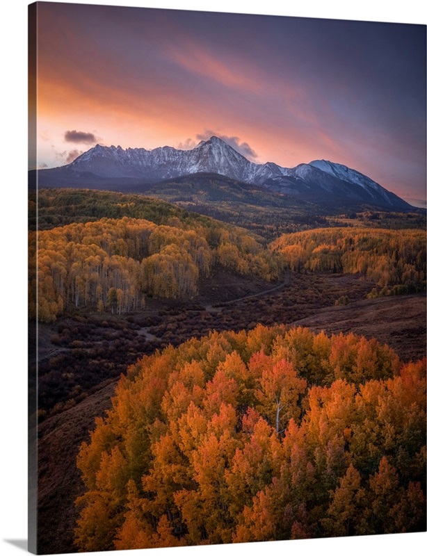 The Tall One | Great Big Canvas