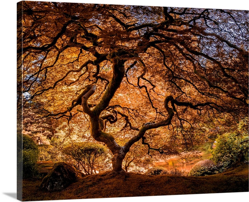 The Tree 3 | Great Big Canvas