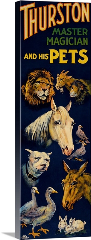 Thurston, and His Pets | Great Big Canvas