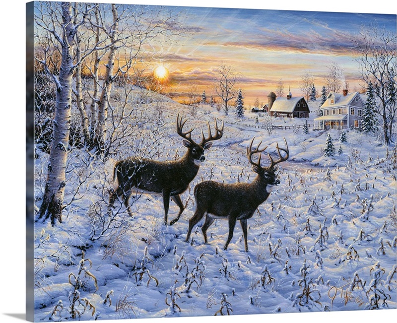 Two Deer In The Moonlight | Great Big Canvas