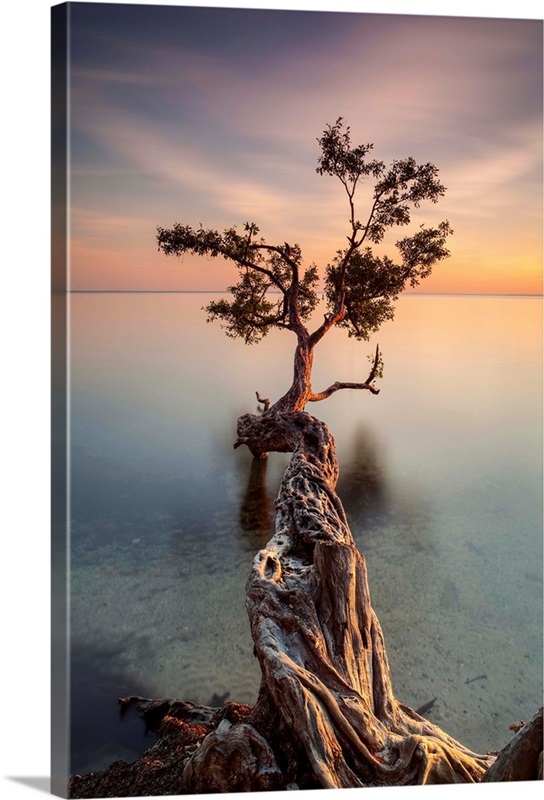 Water Tree | Great Big Canvas