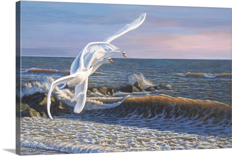 Wave Skimmers | Great Big Canvas