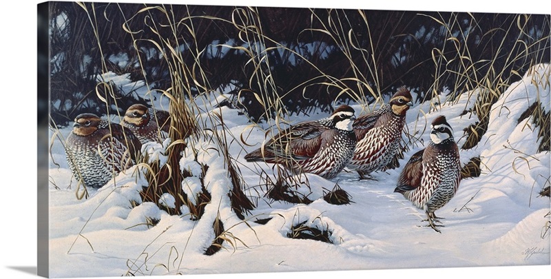 Winter Cover - Quail | Great Big Canvas