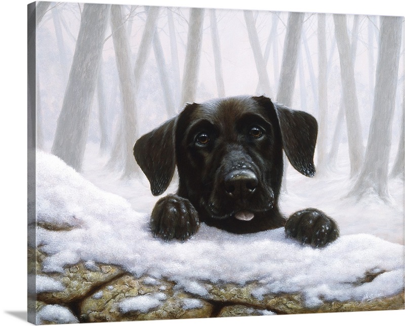 Winter Lab | Great Big Canvas