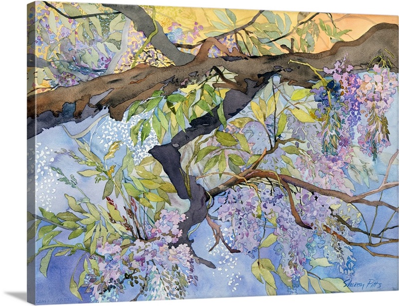 Wisteria, Van Vleck | Great Big Canvas