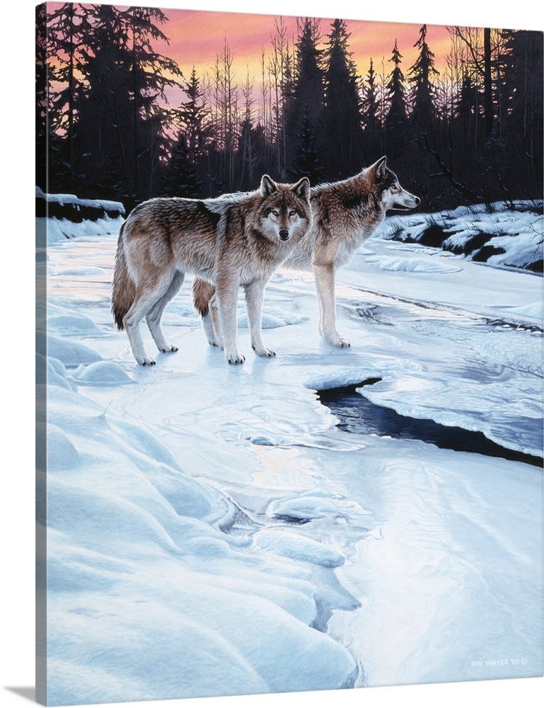 Wolves At Sunset Wall Art, Canvas Prints, Framed Prints, Wall Peels ...