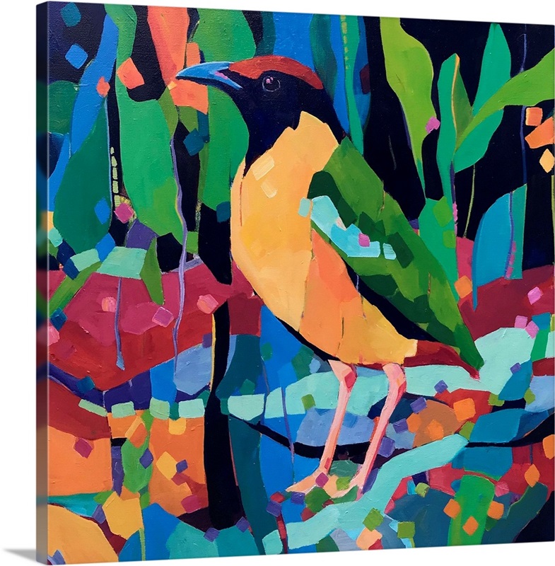 Noisy Pitta | Great Big Canvas