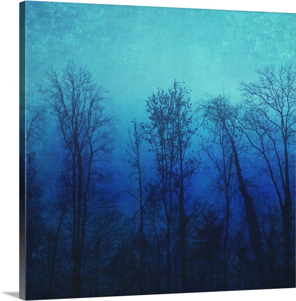 Grunge Trees Wall Art, Canvas Prints, Framed Prints, Wall Peels | Great ...