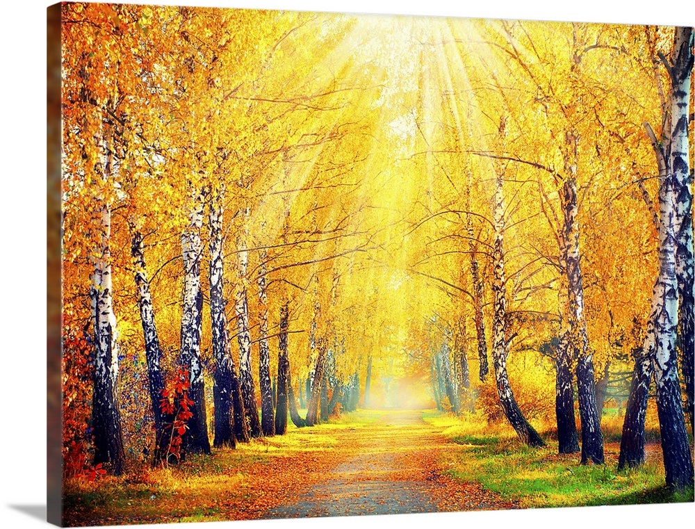 Road lined with trees in autumn foliage Wall Art, Canvas Prints, Framed ...
