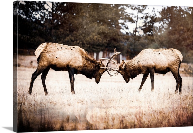 The Rut | Great Big Canvas