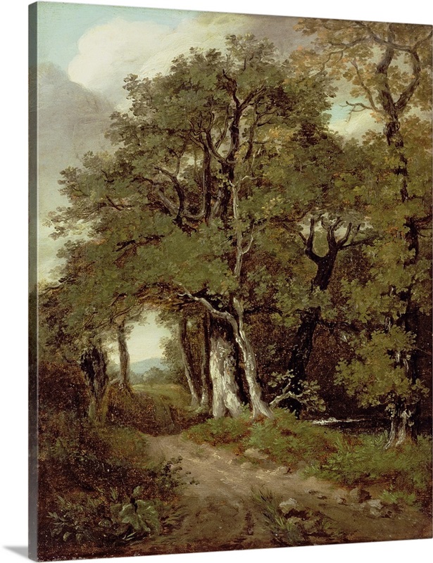 A Wooded Path | Great Big Canvas