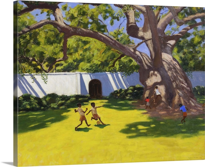 Ancient Campor Tree, Vergelegen Estate, South Africa | Great Big Canvas