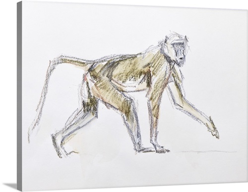 Baboon, 2020 Wall Art, Canvas Prints, Framed Prints, Wall Peels | Great ...