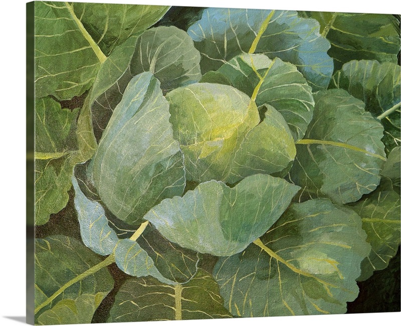 Cabbage, 2014 | Great Big Canvas
