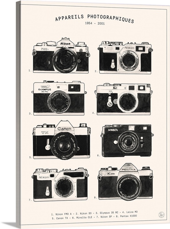 Cameras | Great Big Canvas