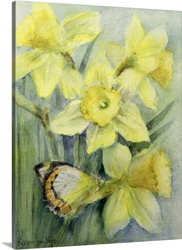Delias Mysis (Union Jack) Butterfly on Daffodils | Great Big Canvas