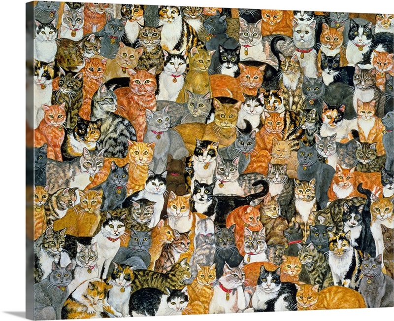 Double Cat-Spread | Great Big Canvas