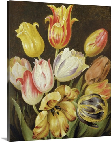 Flower Study | Great Big Canvas