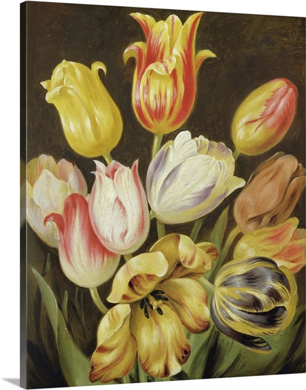 Flower Study | Great Big Canvas