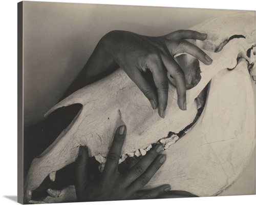 Georgia O'Keeffe-Hands and Horse Skull, 1931 | Great Big Canvas