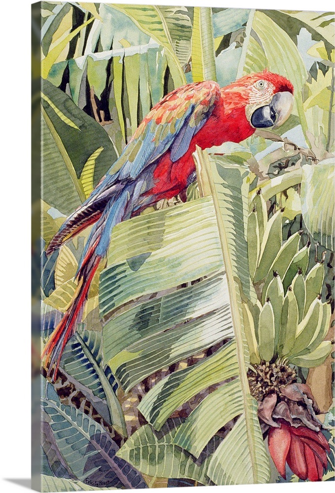 Jungle Parrot Wall Art, Canvas Prints, Framed Prints, Wall Peels ...
