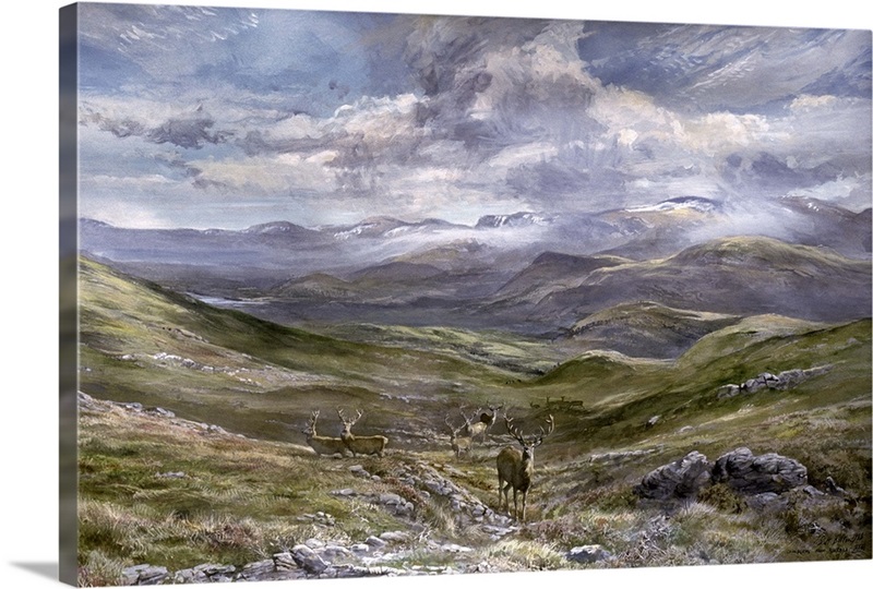 Kinrara, Aviemore, Scotland, 1988 | Great Big Canvas