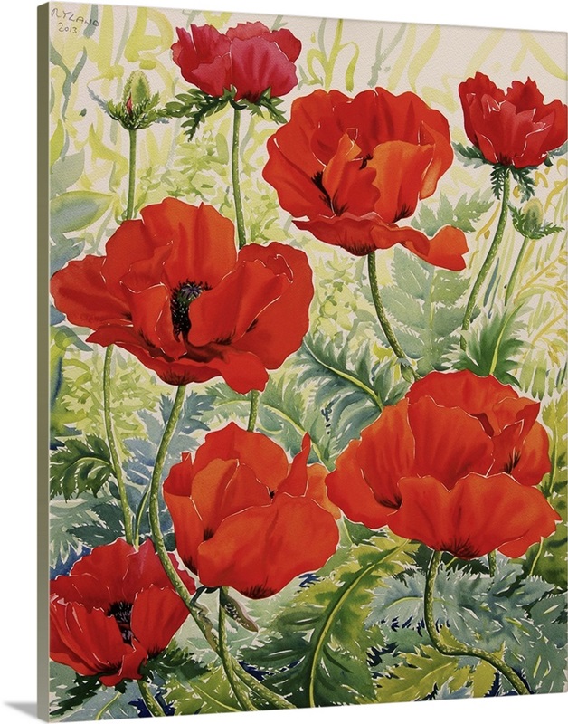 Large Red Poppies | Great Big Canvas
