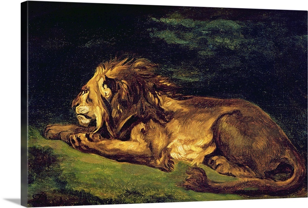 Lion Resting Wall Art, Canvas Prints, Framed Prints, Wall Peels | Great ...