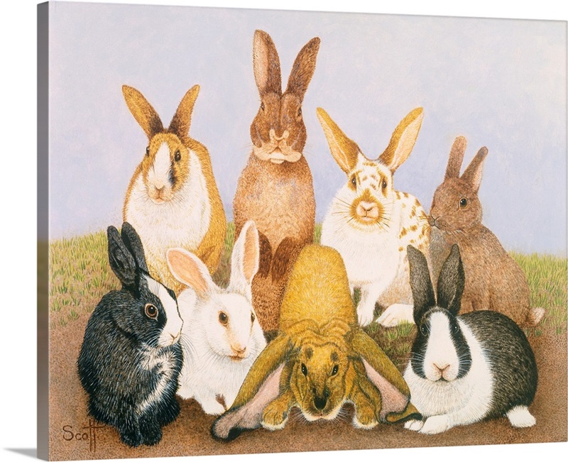 Lucky Rabbits | Great Big Canvas
