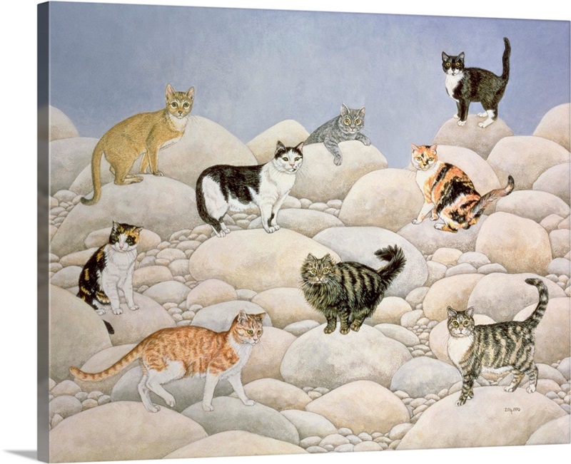 Lynn Valley Cats | Great Big Canvas